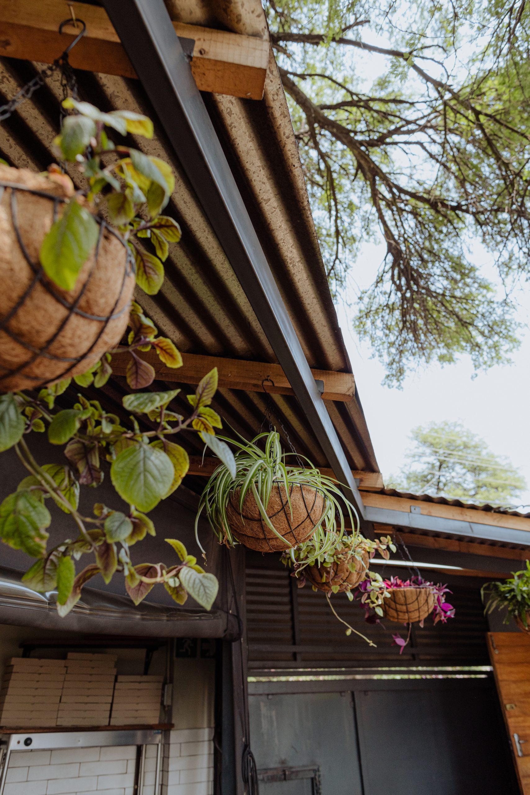 Restaurant - Pablo House Boutique Hotel